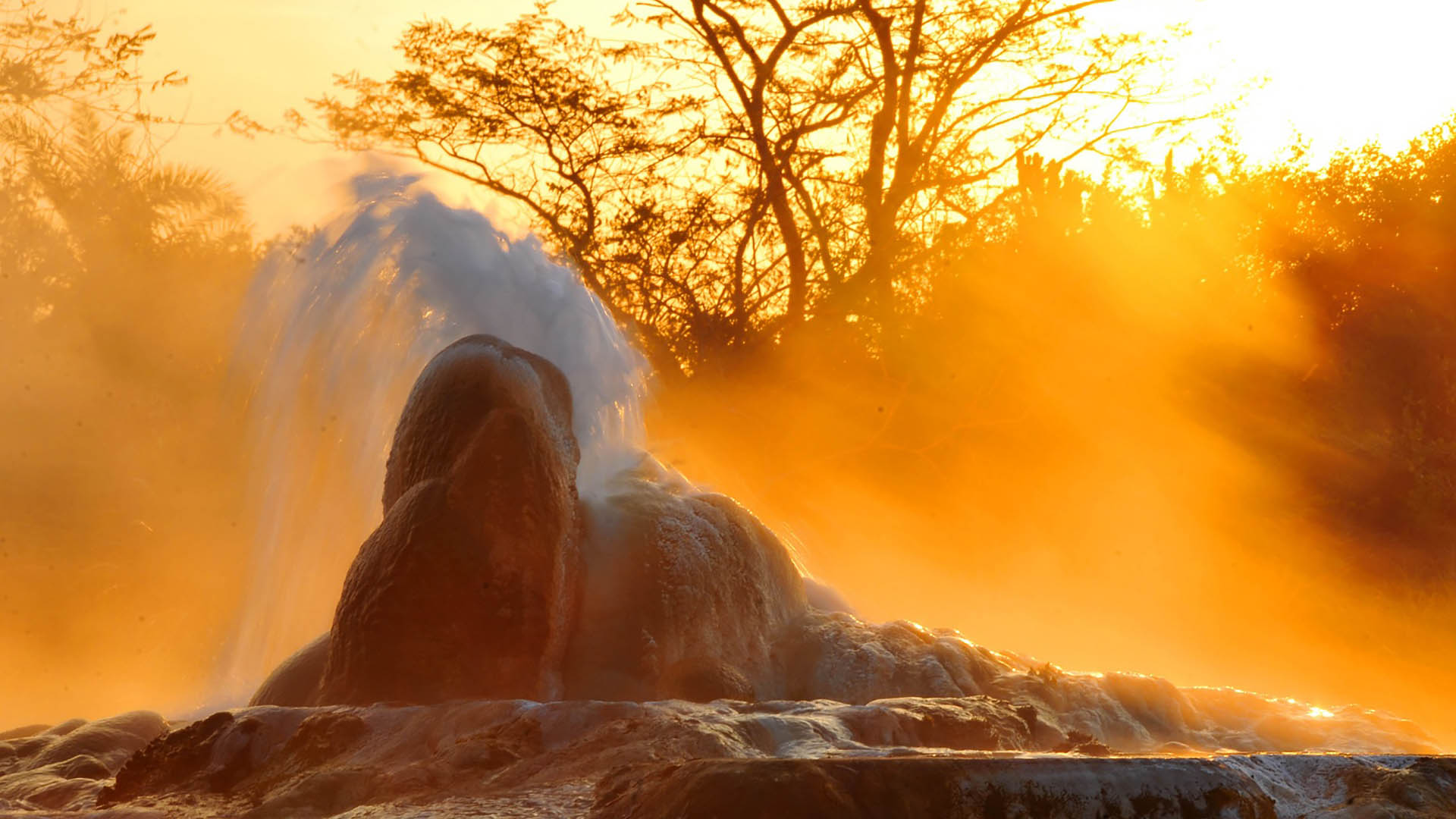 Murchison Falls National Game Park – Piculet Adventures